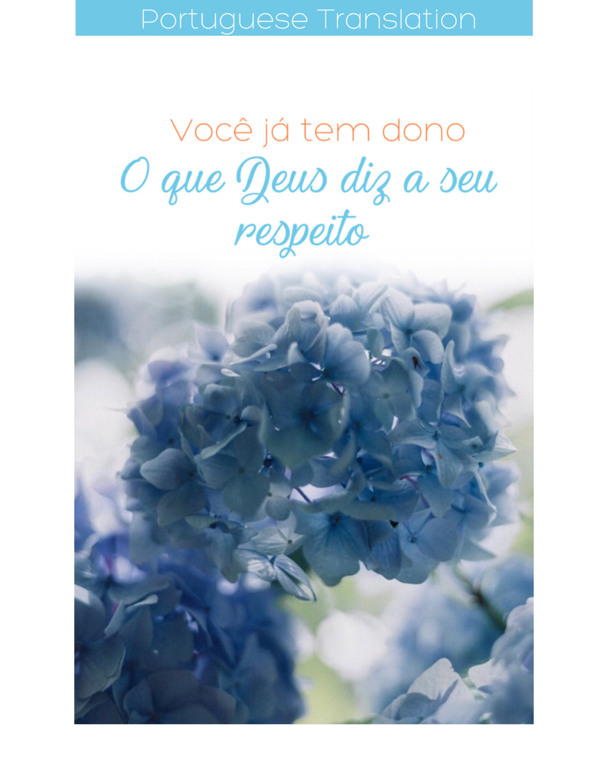 Downloads – Robin Gunn Shop